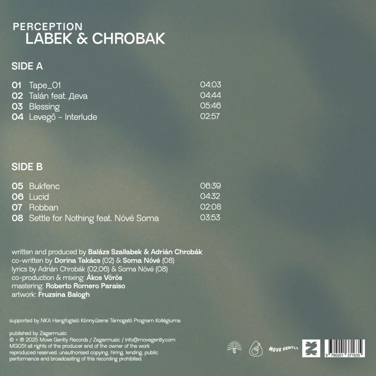 Labek & Chrobak – Perception (LP)